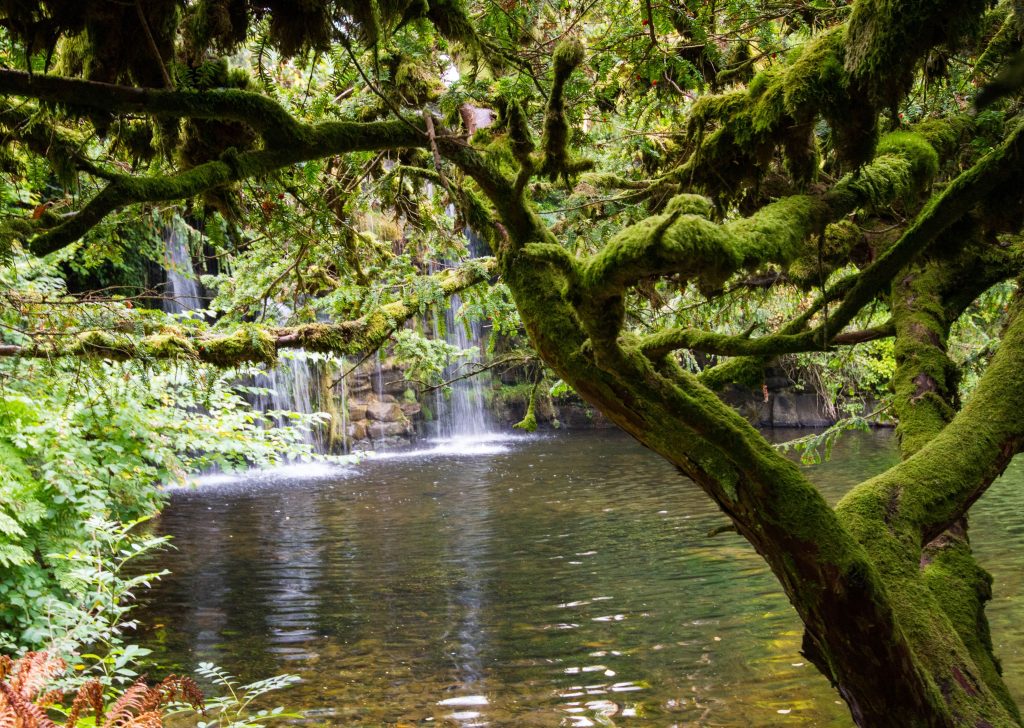 The Japanese Water Gardens - Stobo Castle